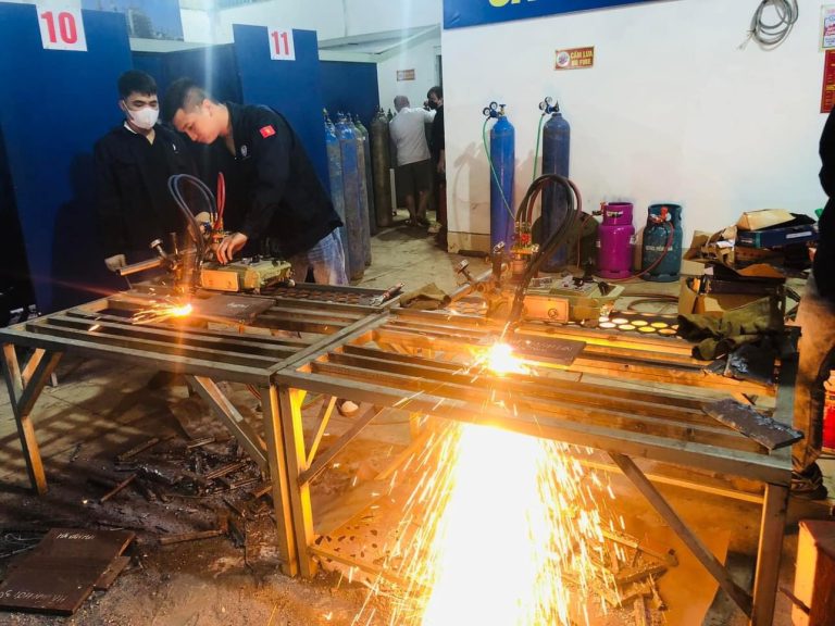 The Netherlands and Vietnamese labor supply: The perfect combination in ...